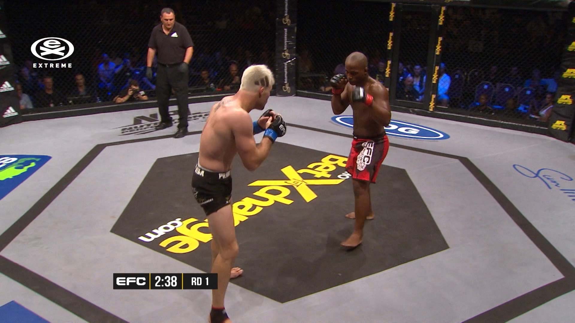 Extreme Fighting Championship - Extreme Sports