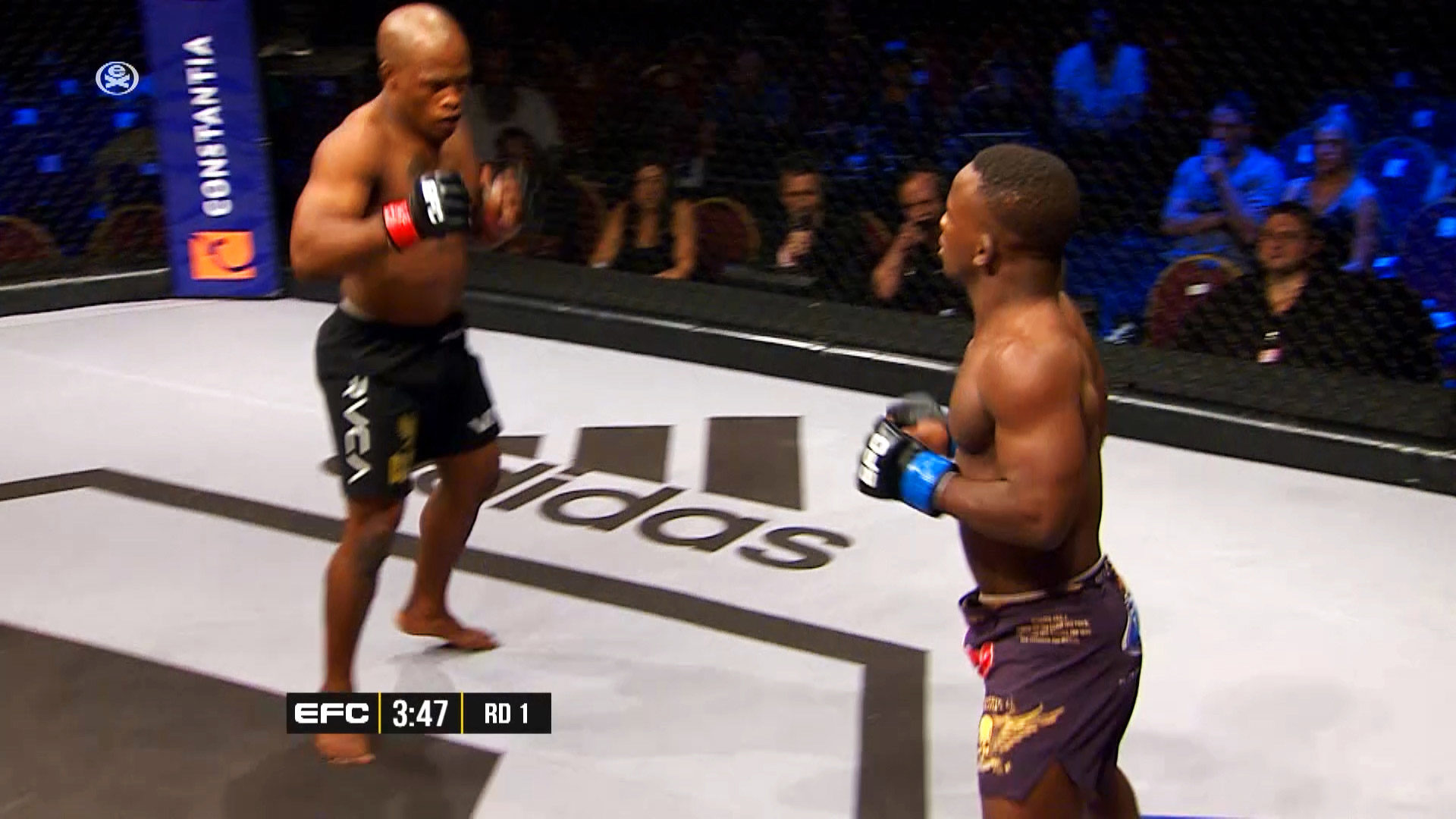 Extreme Fighting Championship - Extreme Sports