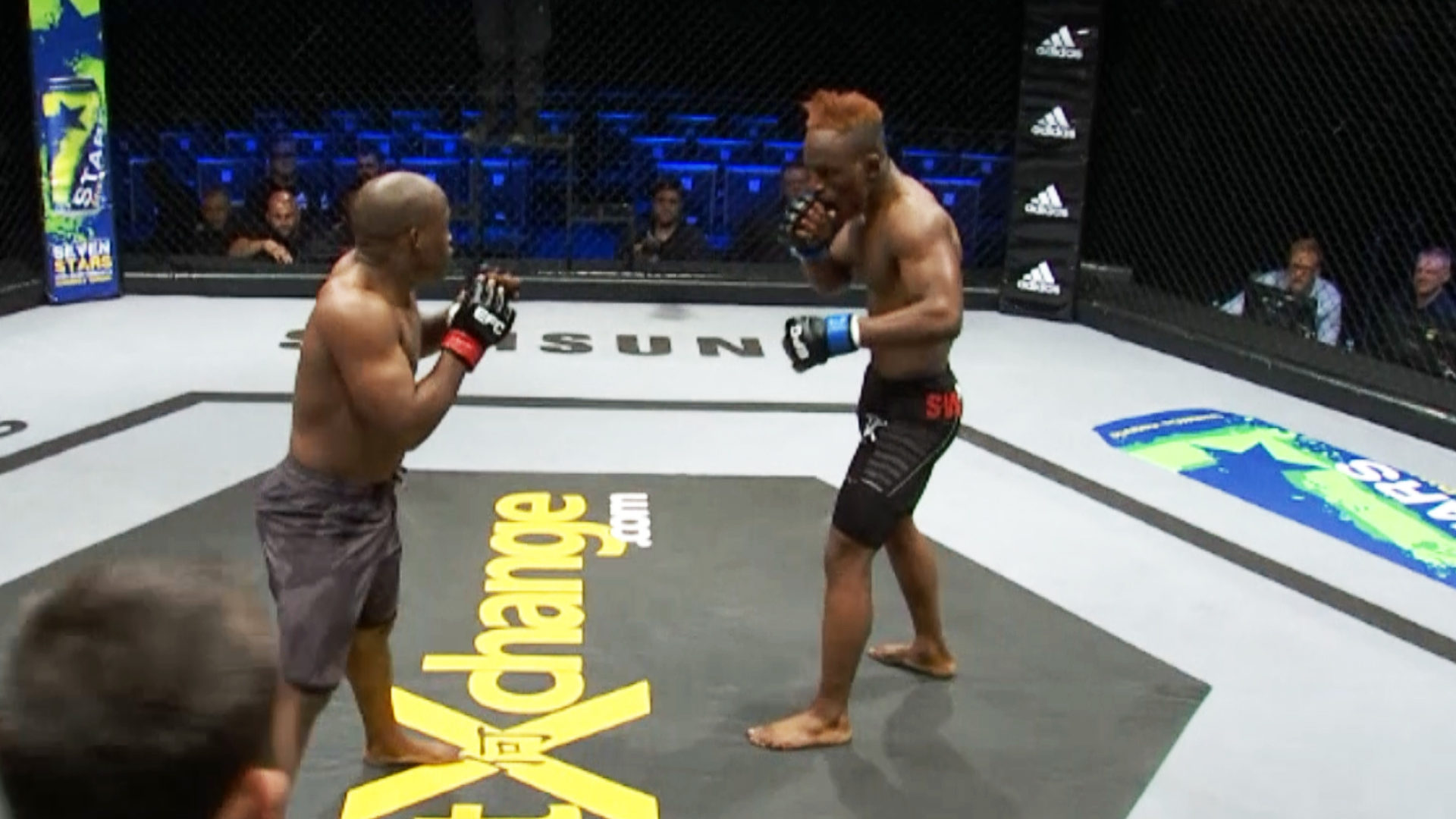 Extreme Fighting Championship - Extreme Sports