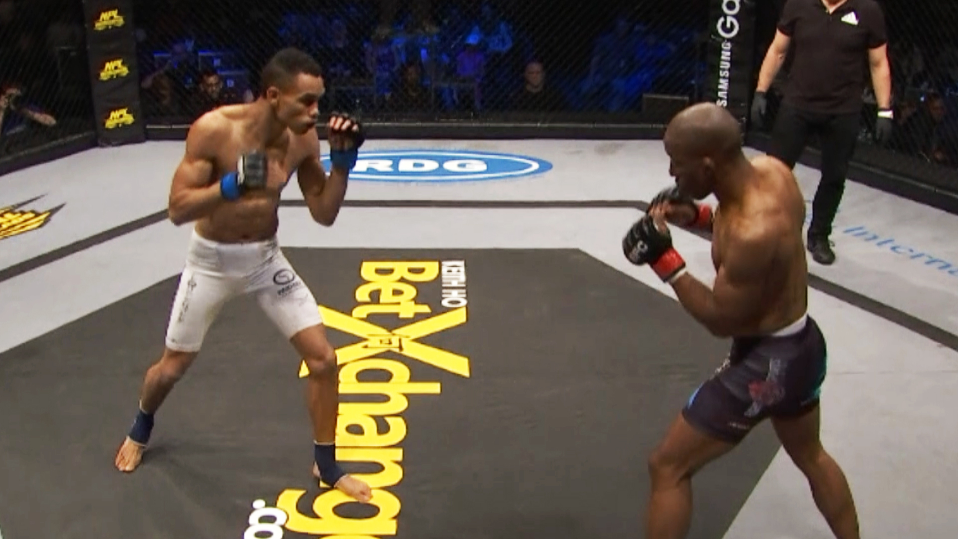 Extreme Fighting Championship - Extreme Sports