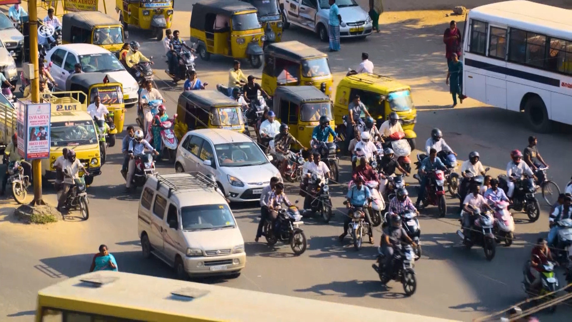 Dumball: Idiots In India - Extreme Sports