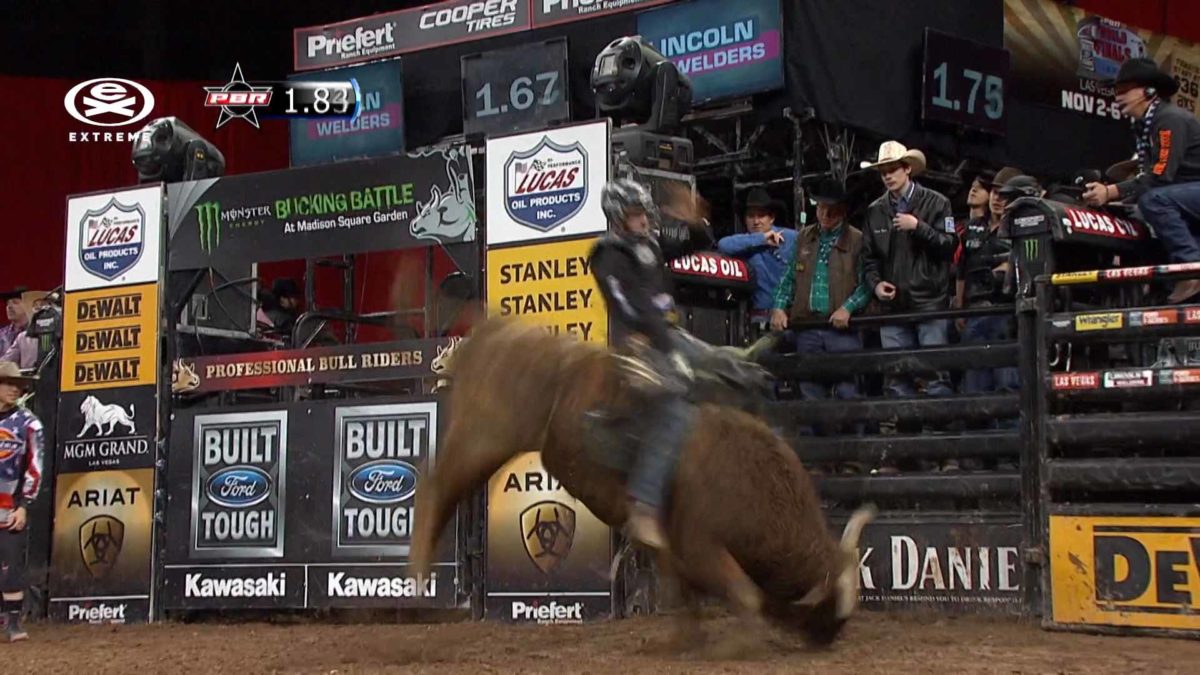 Pro Bull Riders - Extreme Sports