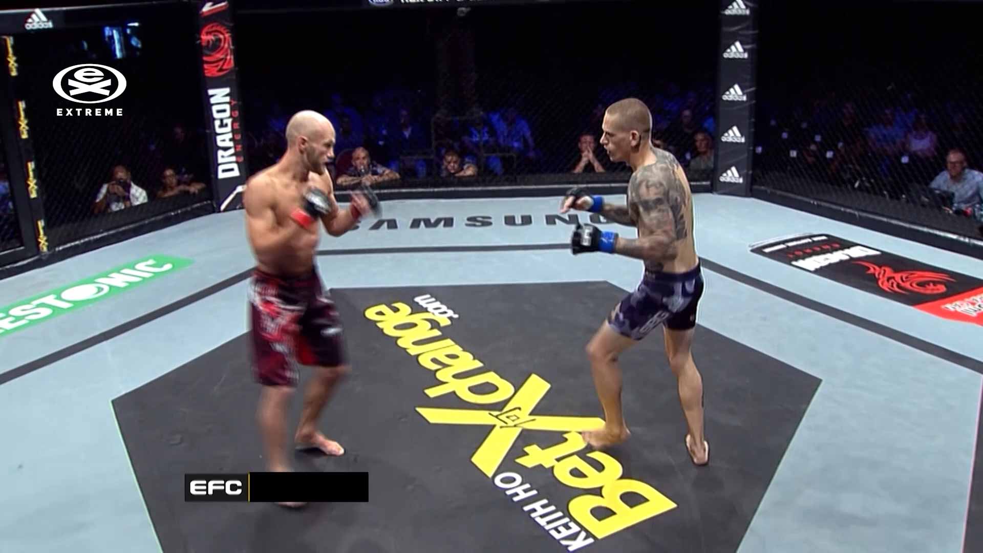 Extreme Fighting Championship - Extreme Sports